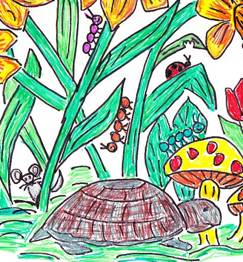 A Closer Look (or, How to Draw Whimsical Insects) – Nana's Whimsical World