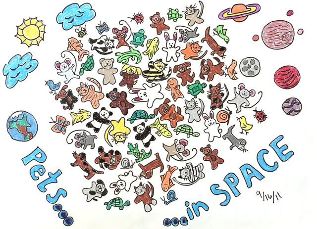 Pets in Space – Nana's Whimsical World