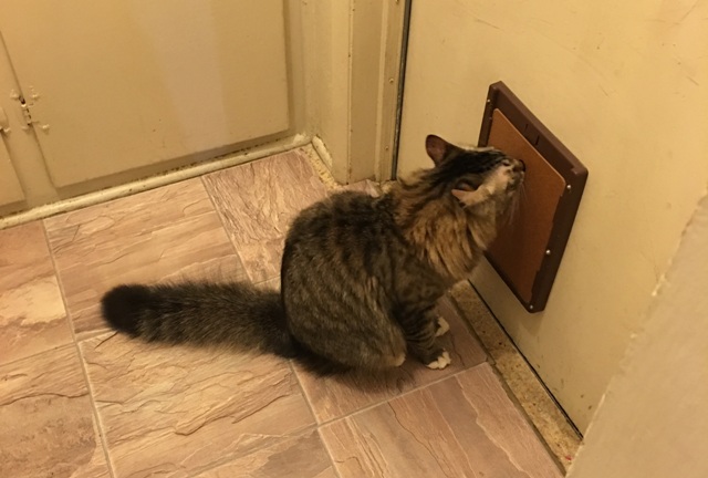 A New Door – Nana's Whimsical World