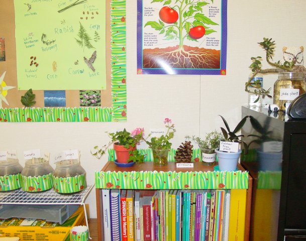 Plants at School – Nana's Whimsical World