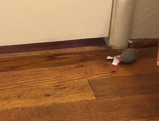 Mice in the Hallway – Nana's Whimsical World