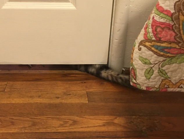 Mice in the Hallway – Nana's Whimsical World