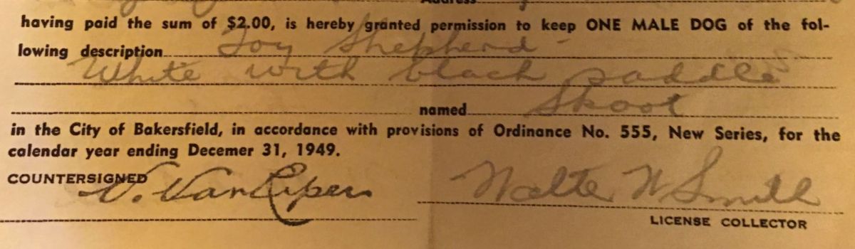 Pets From the Past, Part 4 – Nana's Whimsical World