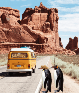 A Grand Adventure – Nana's Whimsical World